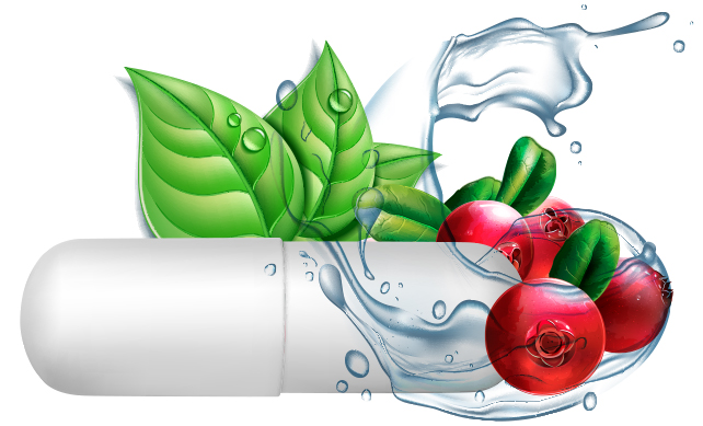 Urixan Active - Kidney Support